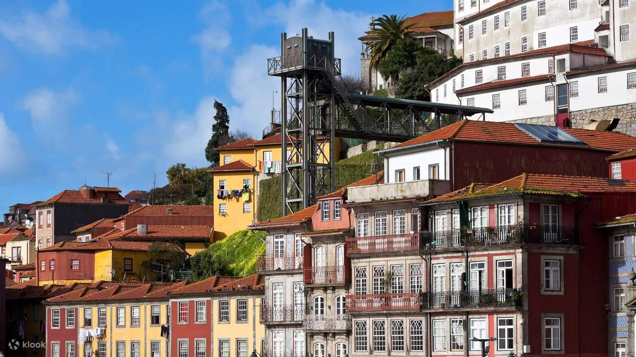 Porto and Gaia walking tour with optional wine tasting experience - Klook