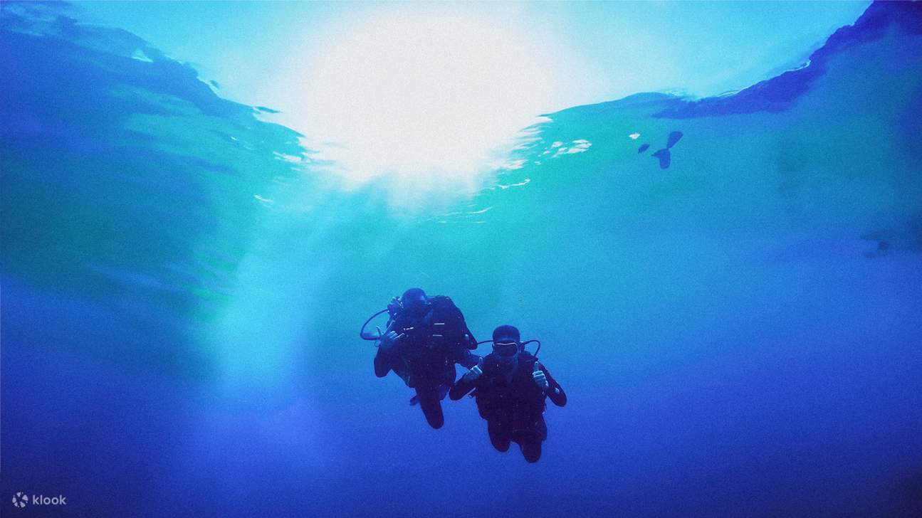 Scuba Diving in Sardinia: Full Day at La Maddalena and Lavezzi - Klook ...