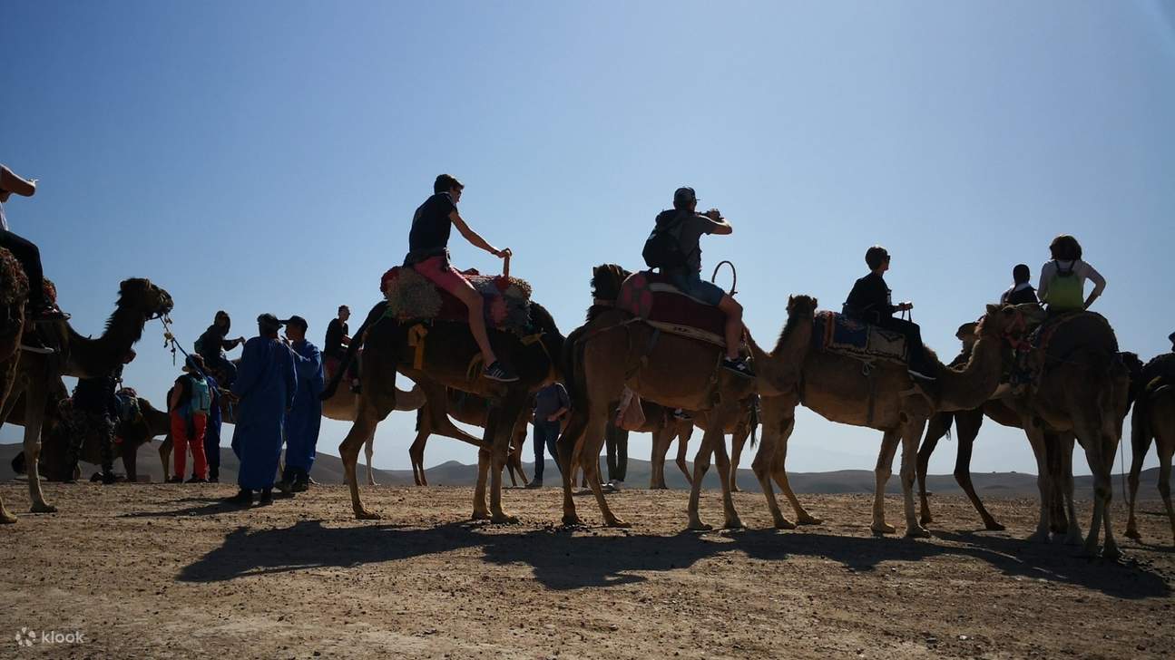 Discover Marrakech: Camel Ride in Palmeraie - Desert Adventure - Klook