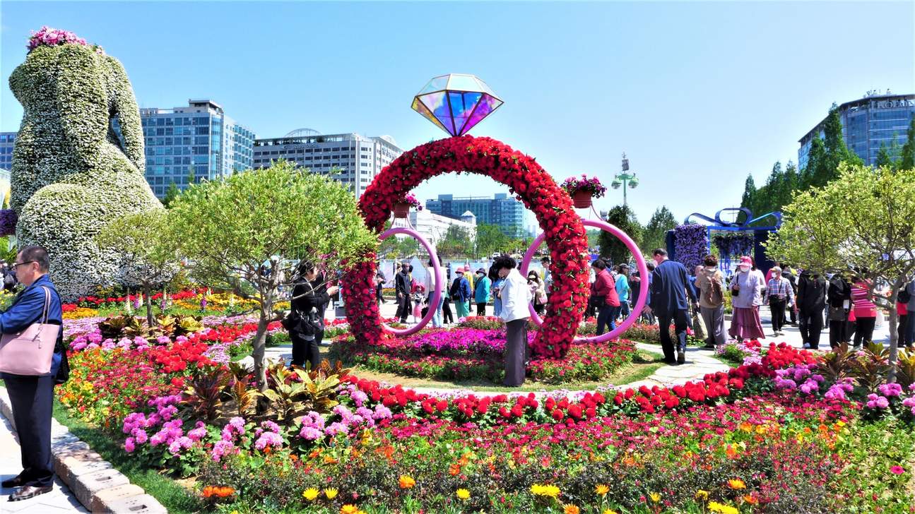 2025 Ilsan International Flower Expo Half-day Tour - Klook Estados Unidos
