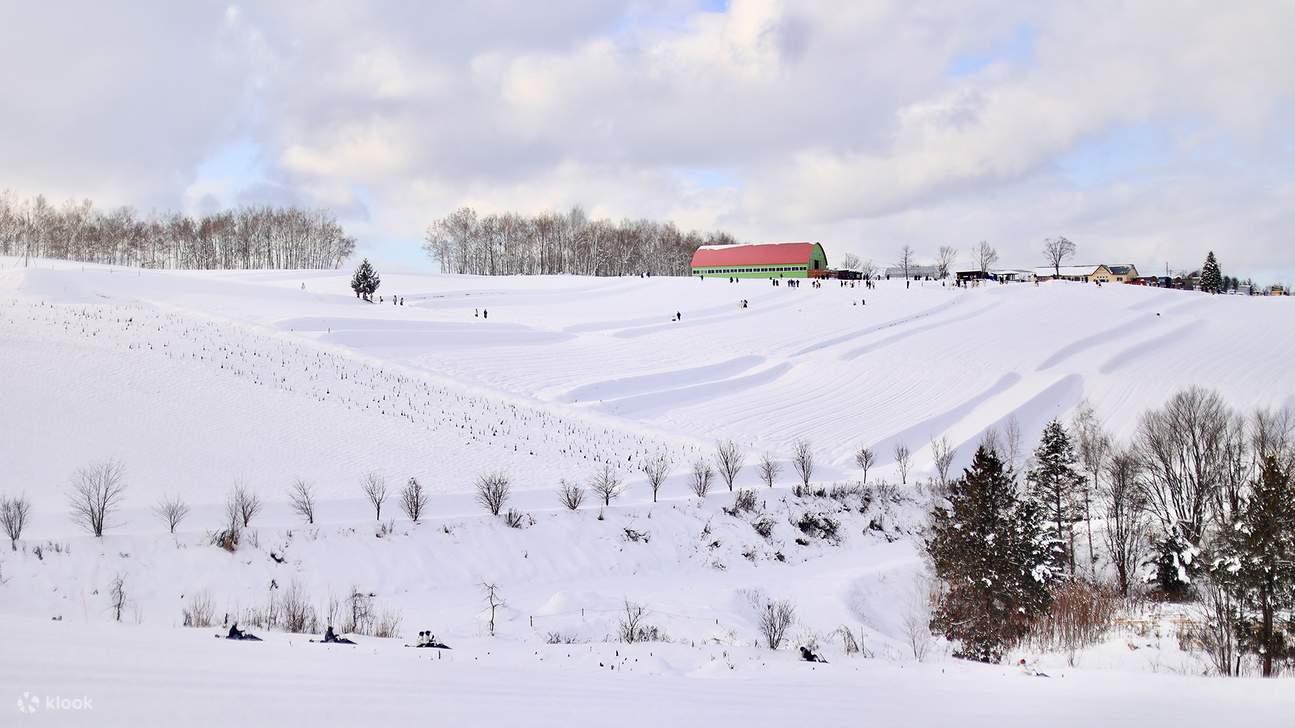 Hokkaido Winter Limited-Time Illumination Tour | Shirogane Blue Pond ...
