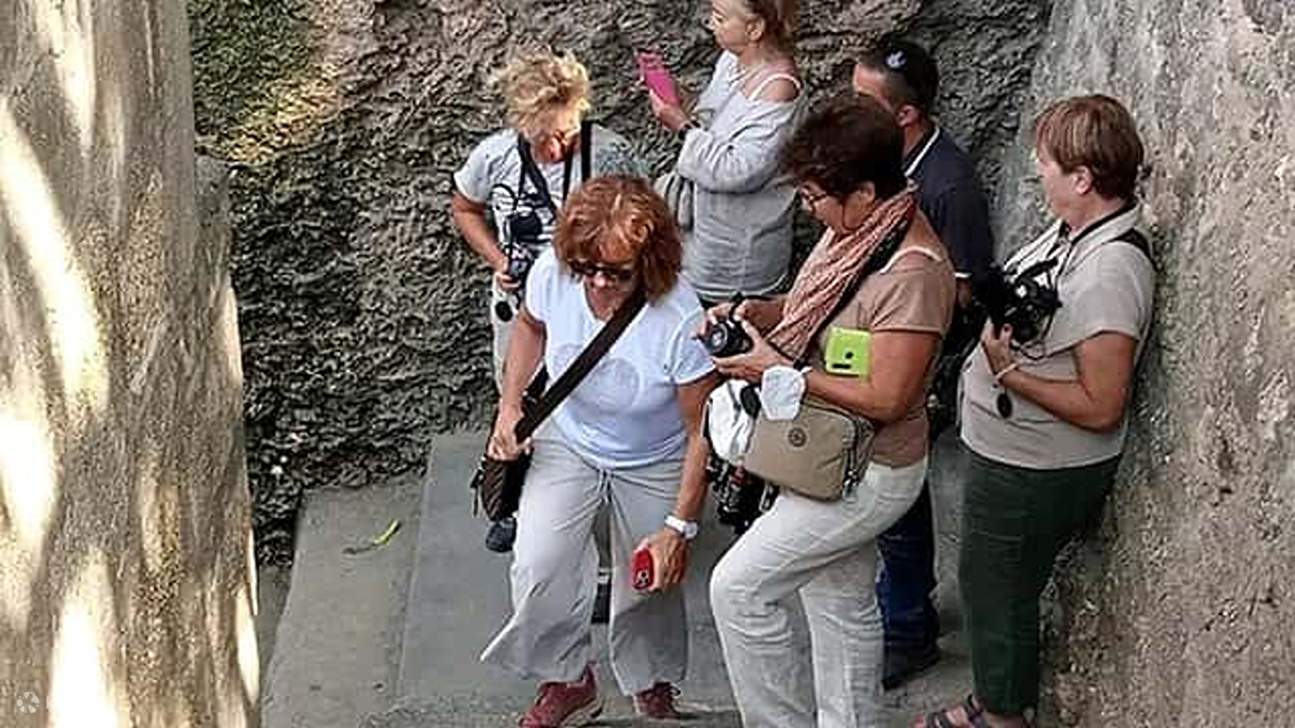 Mombasa:City Discovery Day Tour And Haller Park Giraffes Experience ...