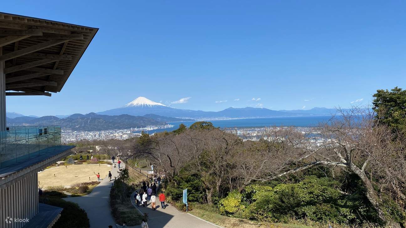 Shizuoka City Private Day Tour with Mt.Fuji Viewing and Ropeway - Klook