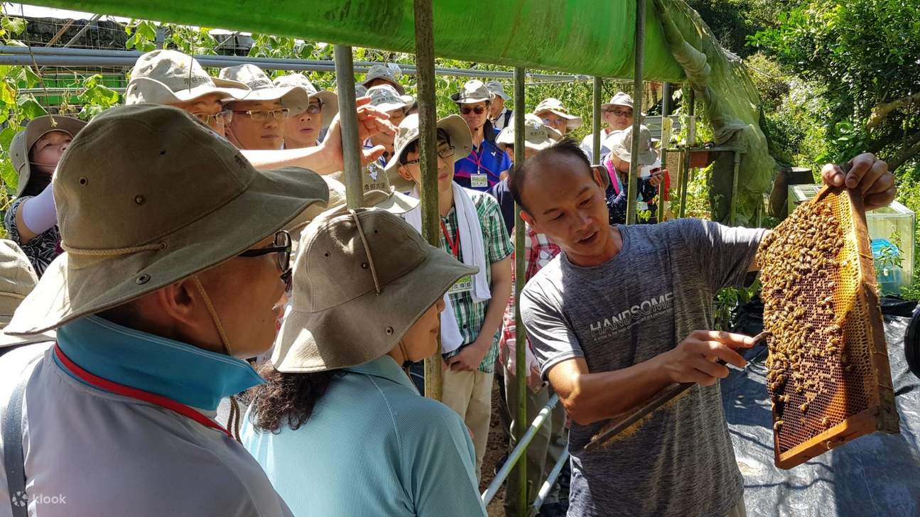 台北：東林イチゴ園｜7月の花蜜シーズン｜蜂蜜狩りリアリティショー/ワッフルDIY | Klook