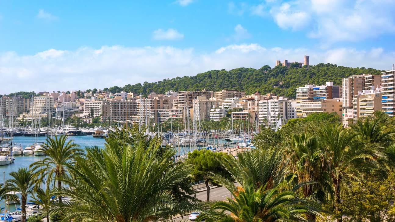 Palma Cathedral and Old Town tour in Palma de Mallorca - Klook Estados ...