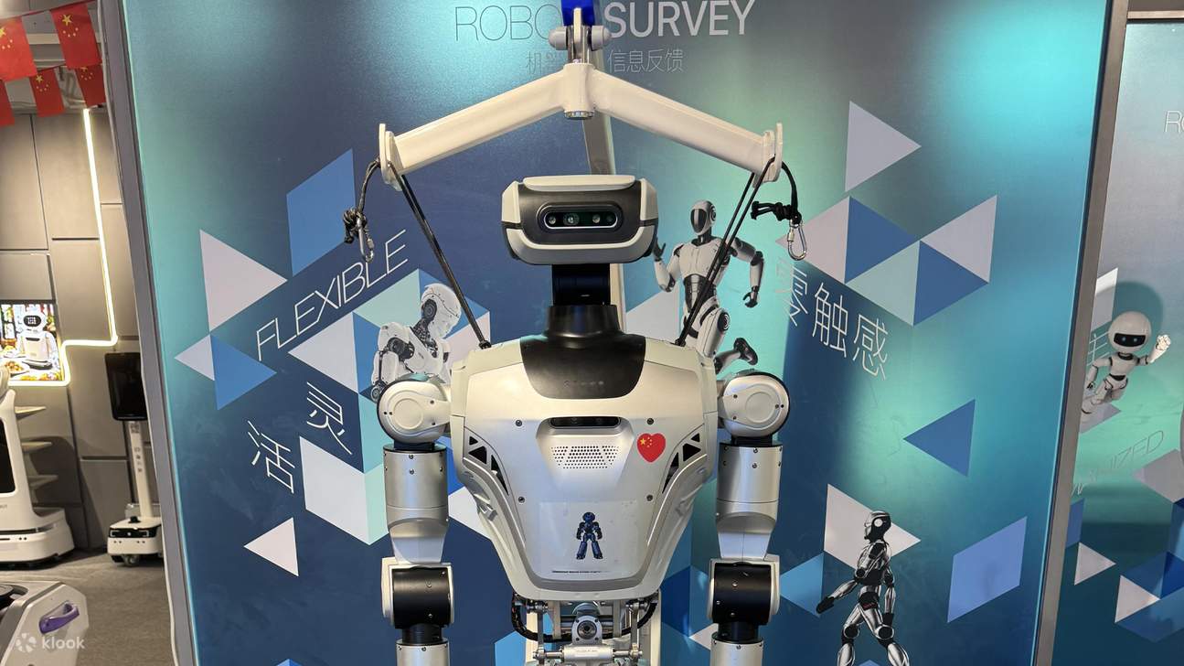 Shenzhen Future Tech Tour: Robots, 3D Printing & Drone Delivery - Klook