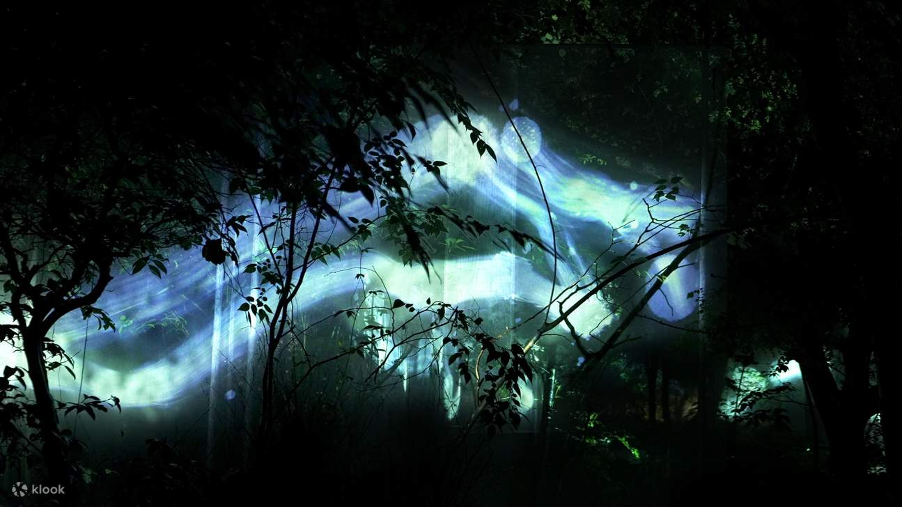 Réservez vos billets pour teamLab Botanical Garden Osaka - Klook États-Unis