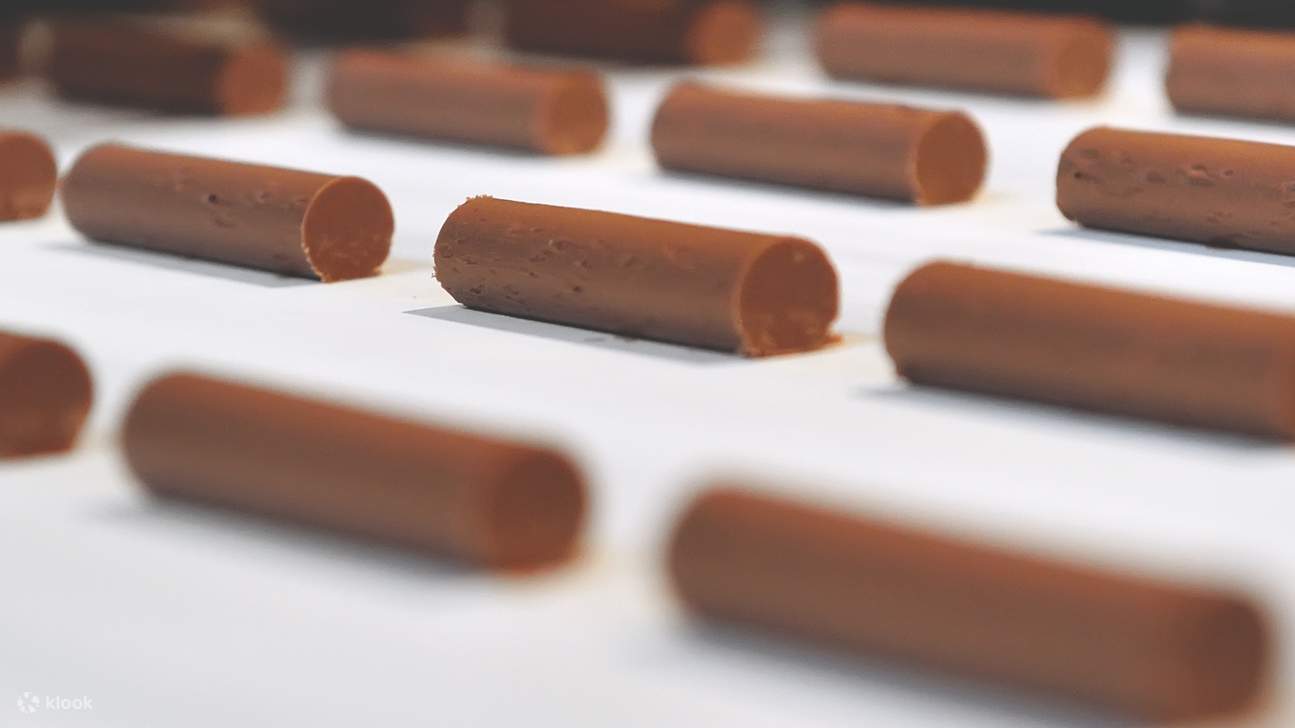Tur Musim Dingin Gruyeres: Pabrik Cokelat, Museum Keju dari Jenewa ...