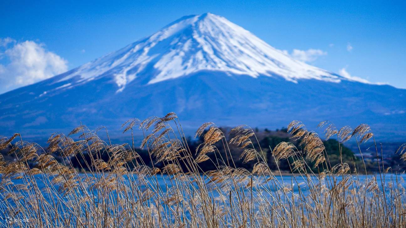 Tour panoramico diurno del Monte Fuji - Centro del patrimonio mondiale ...