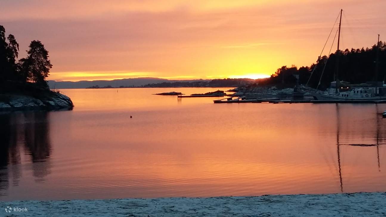 Fjord island hopping tour in Oslo - Klook