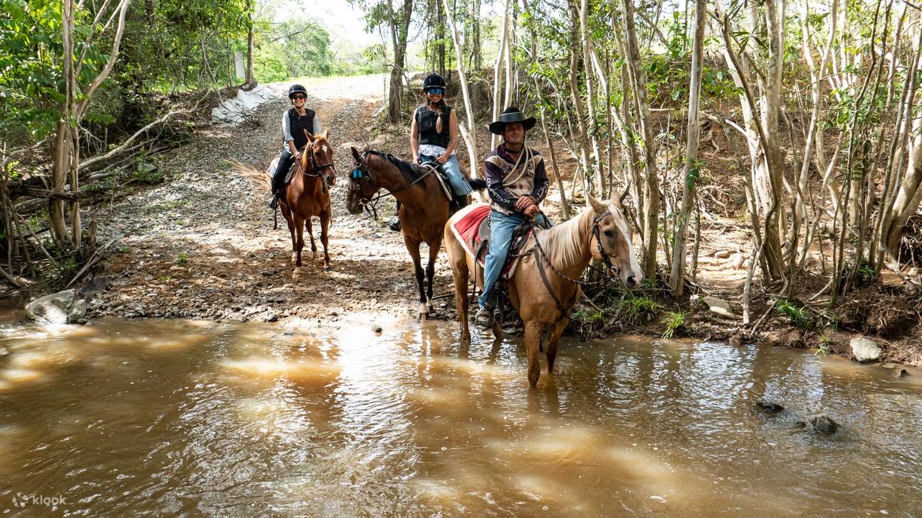 Kur Cow Pasture Experience in Cairns, Australia - Klook United States