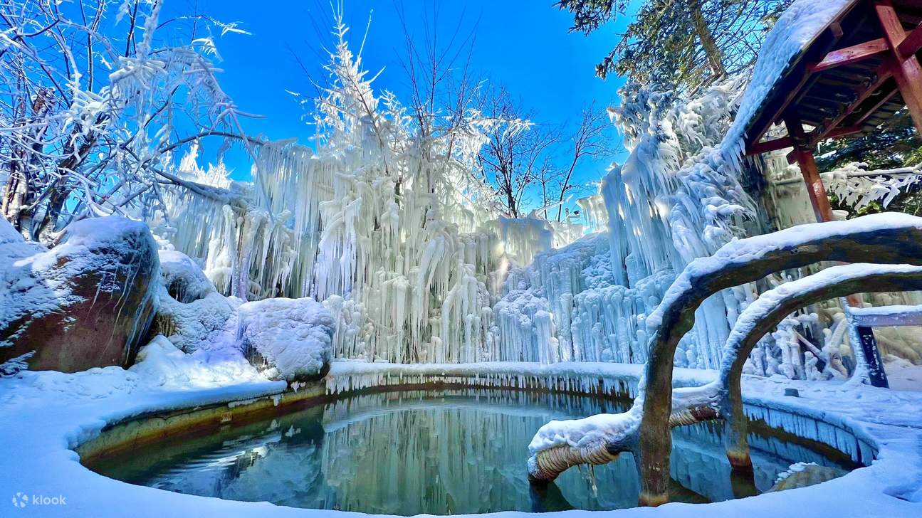Changbai Mountain Julong Hot Spring - Klook India