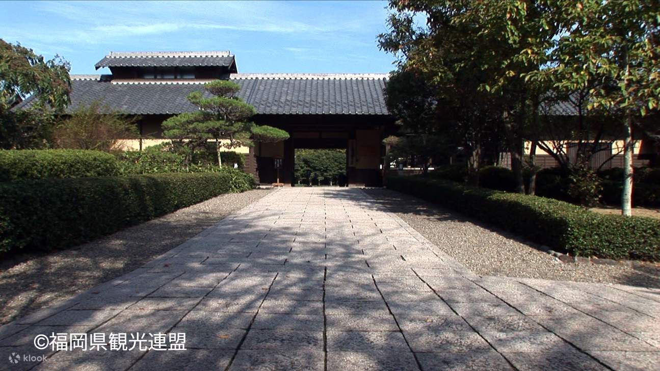 YokaBus Nanzoin's Bronze Buddha and Itoshima's Coastal Wonders - Klook
