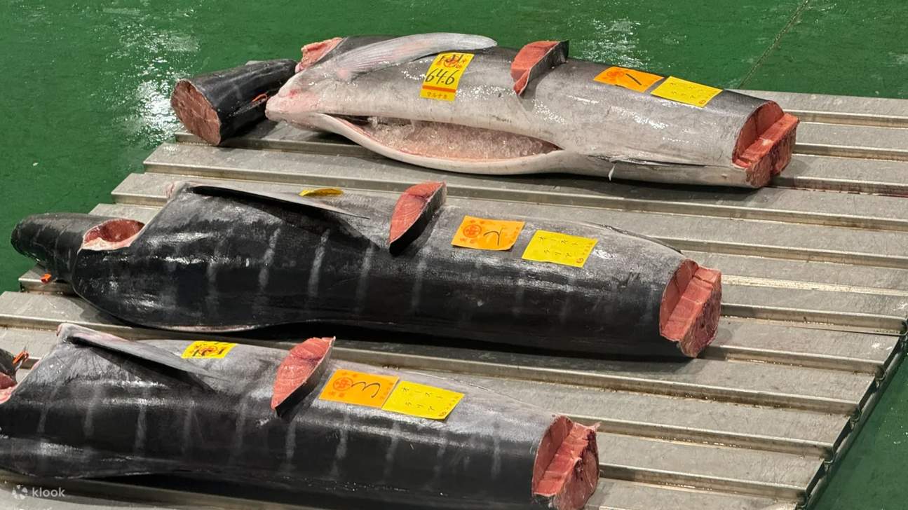 Tokyo: Toyosu Tuna Auction & Tsukiji Market Gourmet Food Tour - Klook ...