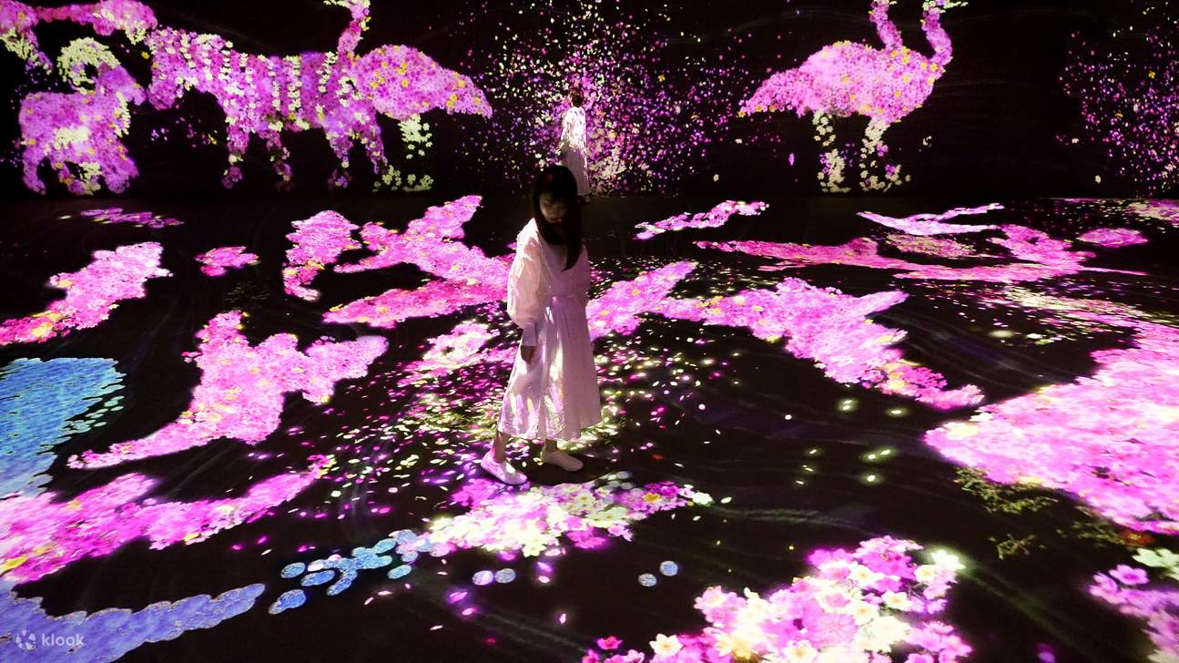 Book for tickets to teamLab Forest in E・ZO FUKUOKA - Klook United States