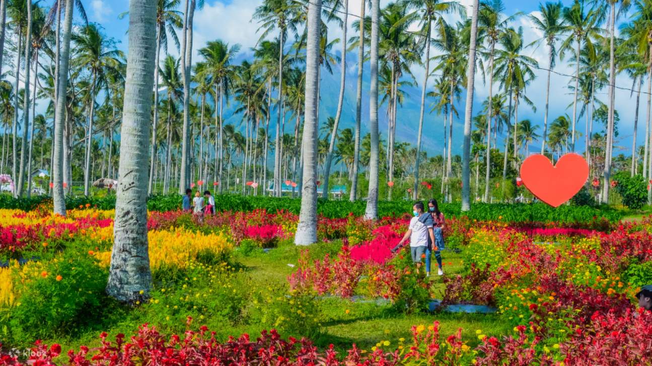 Bicol Culinary Tour in Albay with ATV Adventure & Highlands Park ...