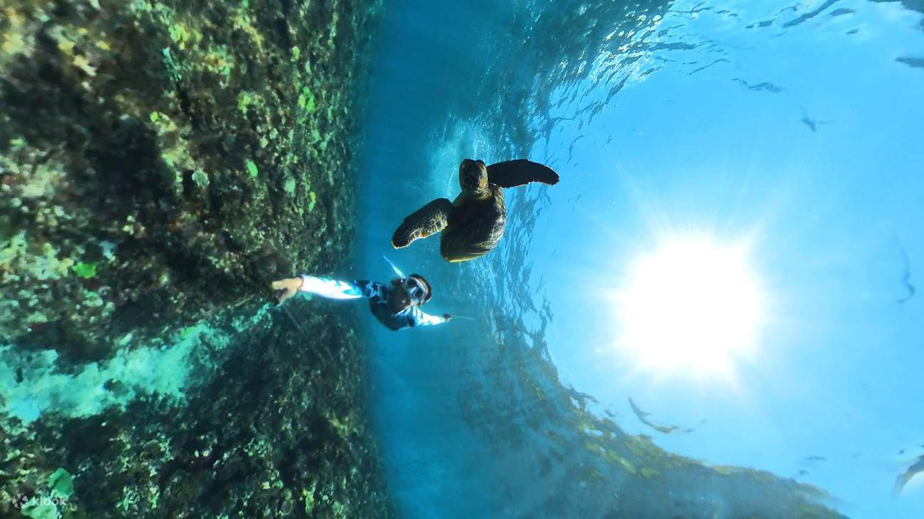 Schnorchel-Tagestour in Nusa Lembongan und Nusa Penida ab Bali - Klook ...