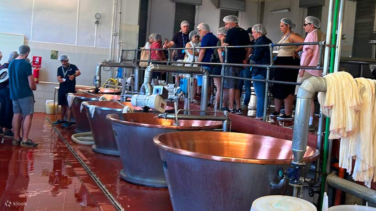 Parmesan cheese factory tour with tastings in Parma - Klook Stati Uniti