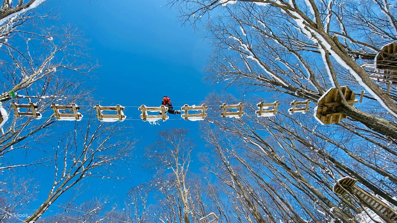 Join In Ziplining in Eniwa - Klook United States
