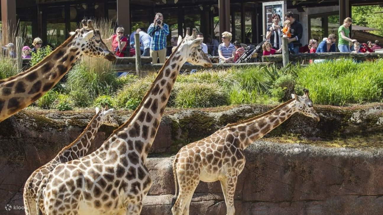 GaiaZOO ticket - Klook États-Unis