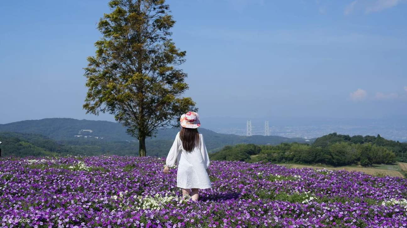 Kansai Minor Secret Realm One-Day Tour: Awaji Island / Mount Koya ...