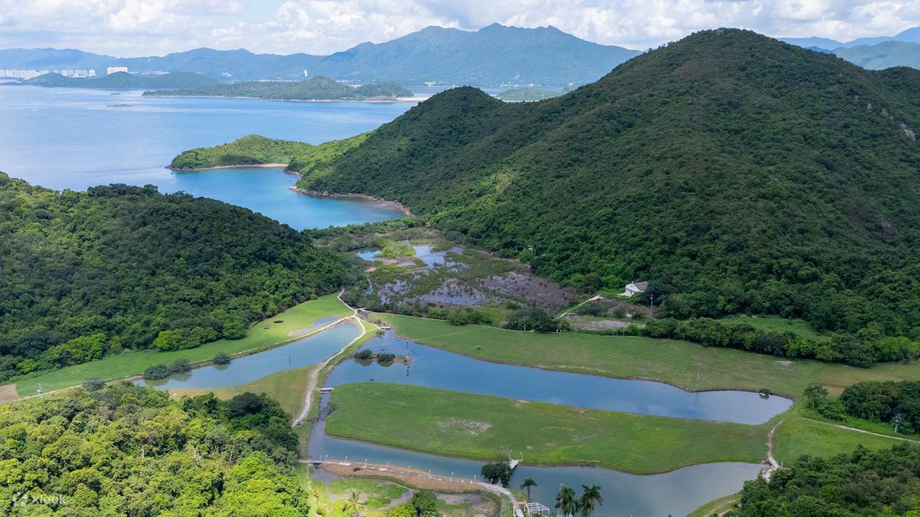 Sham Chung & Tai Po Fish Rafts Eco Discovery Tour - Klook New Zealand