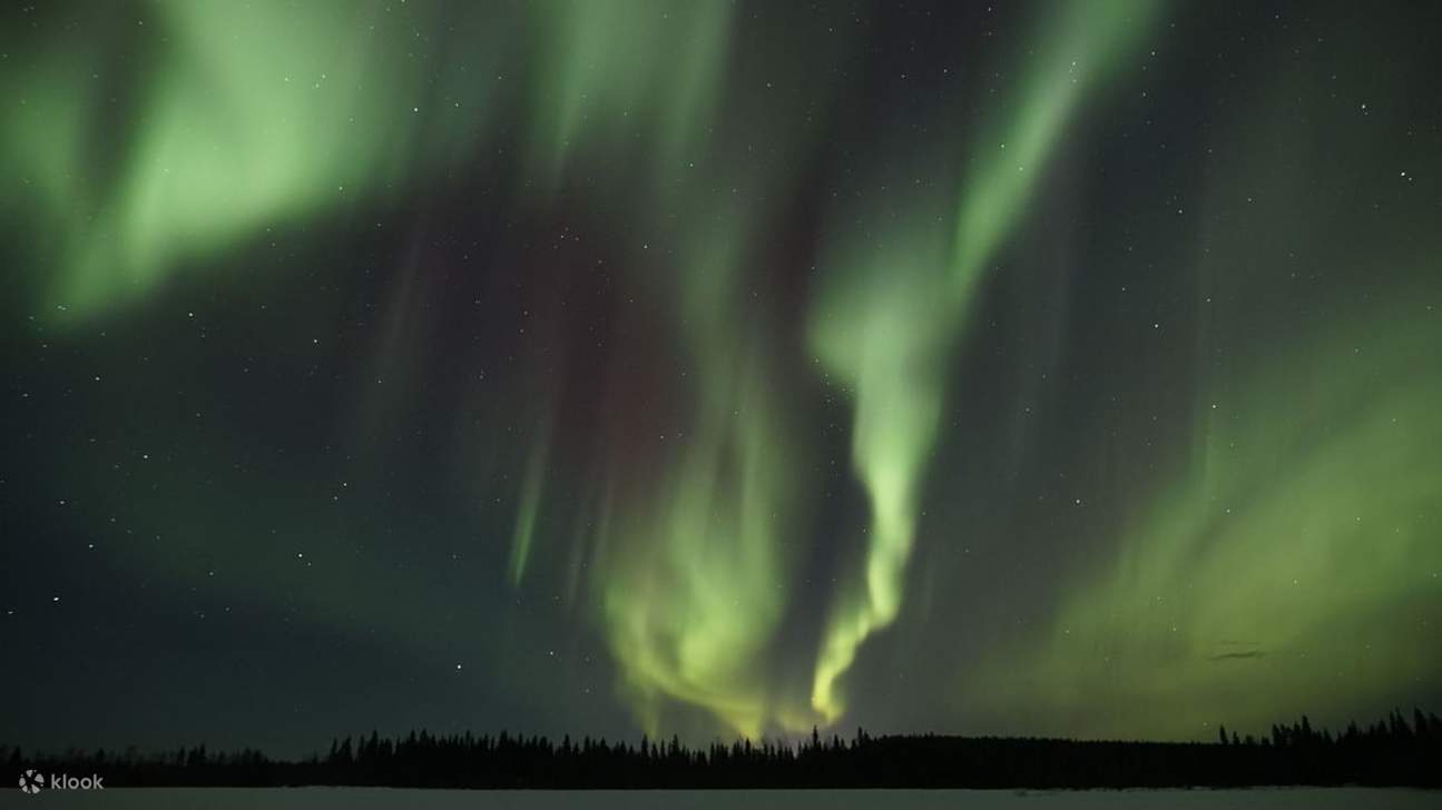 Aurora Borealis tour with Lappish picnic in Rovaniemi - Klook Philippines