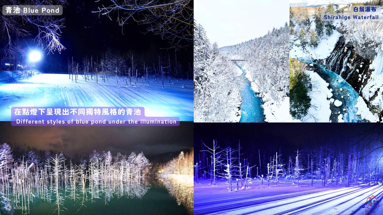 Hokkaido | Biei Winter Blue Pond & Shirasuga Falls Illumination Day ...