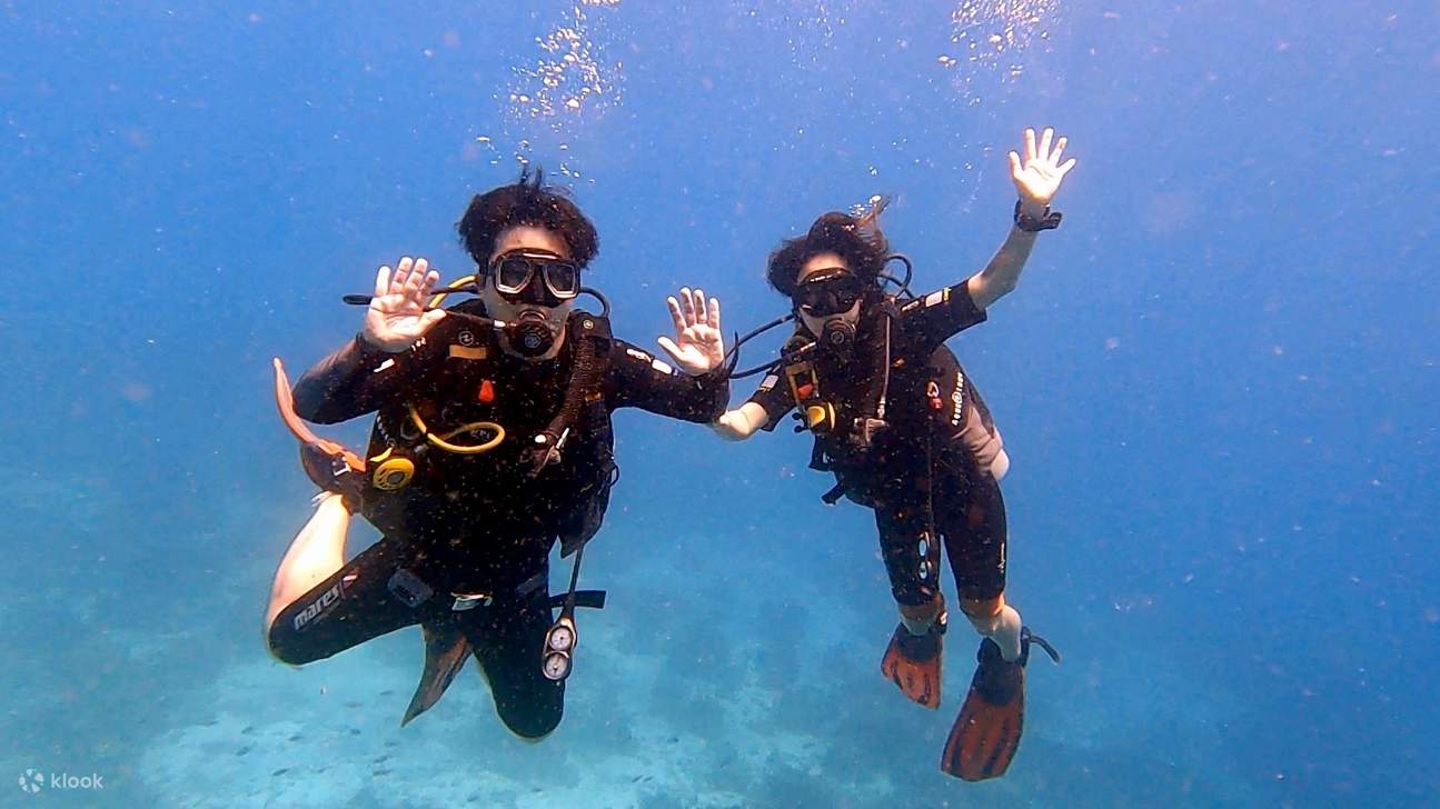 Discover Scuba: PADI Open Water Diver Course in Bohol with PADI 5 Star ...