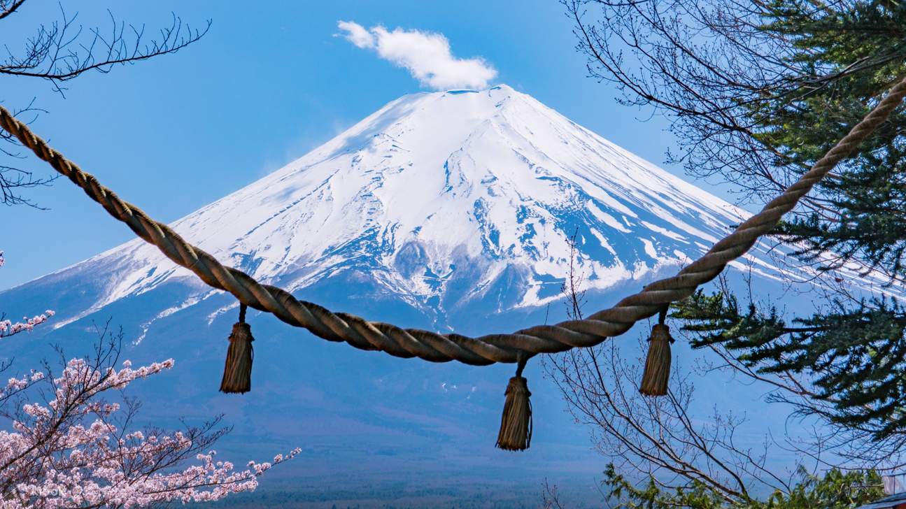 Mount Fuji Arakurayama Park Oshino Hakkai Kawaguchiko Bus Tour from ...