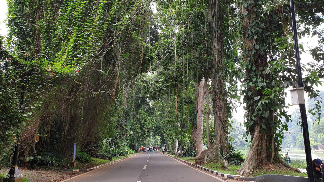 Bogor City Private Tour from Jakarta - Klook