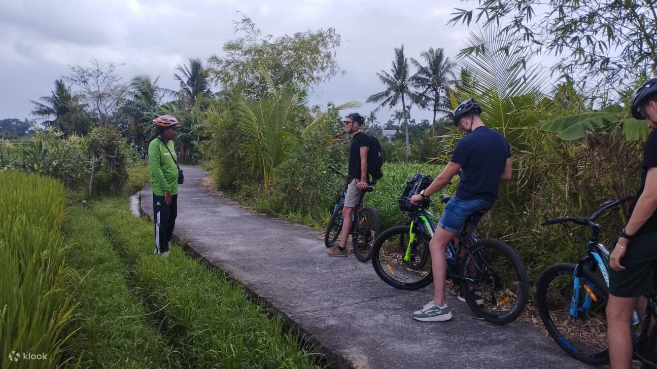 Tur Sepeda Gunung atau Listrik Ubud Selatan di Bali - Klook Indonesia