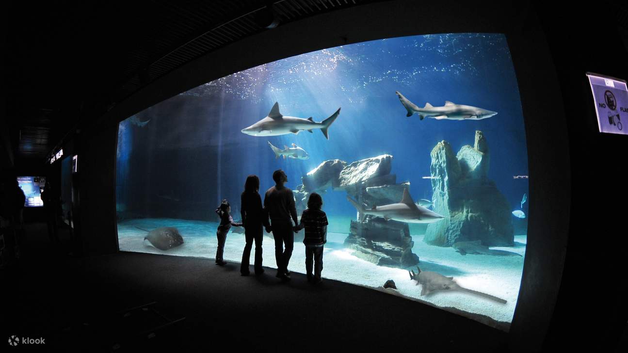 Acquario di Genova and Fantacinema ticket in Genoa - Klook