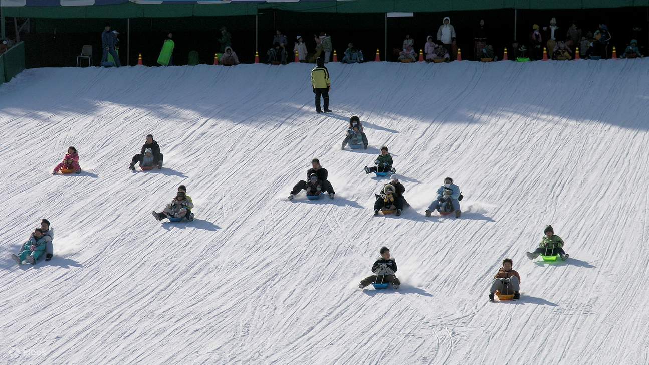 Eobi Ice with Snow Sledding & Strawberry Picking Day Tour from Seoul ...
