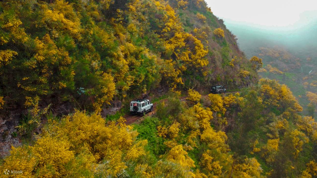 Discover Nature's Beauty: Rabaçal 25 Fountains Levada Walk & Skywalk in ...