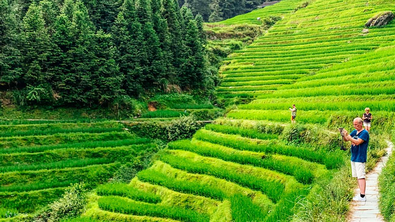 Guilin Longji Ping'an Terraces 1-Day Private Tour - Klook United States