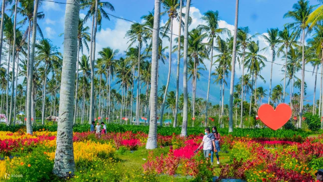 Cagsawa Ruins Express Tour with El Miro De Shei - Klook