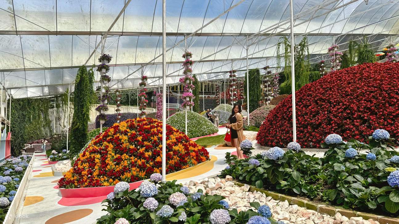 Cameron Highlands Day Tour - Klook Malaysia
