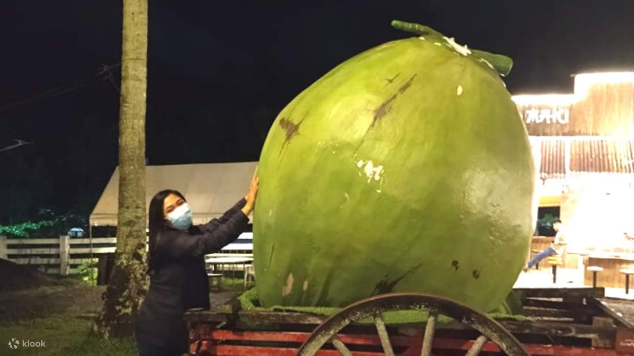 Bicol Culinary Tour in Albay with ATV Adventure & Highlands Park ...