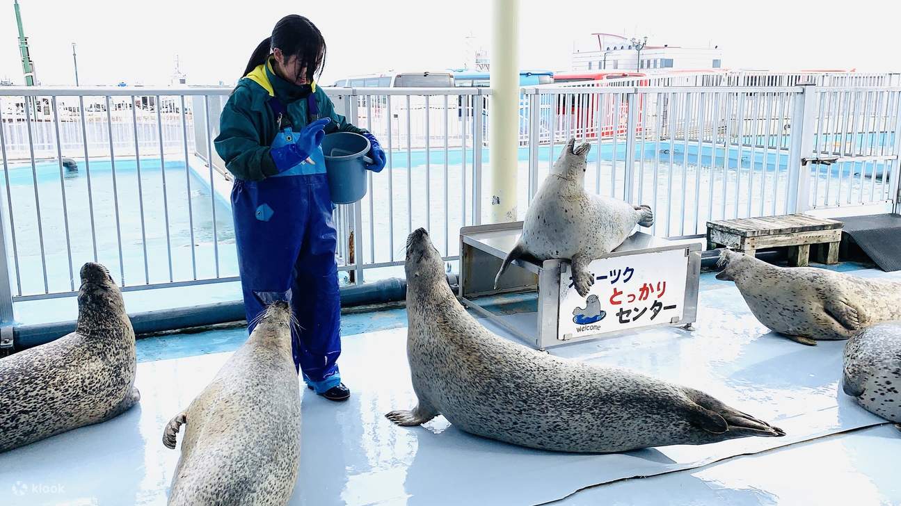 Monbetsu Icebreaker & Asahiyama Zoo & Sounkyo Icefall Festival 2 days ...