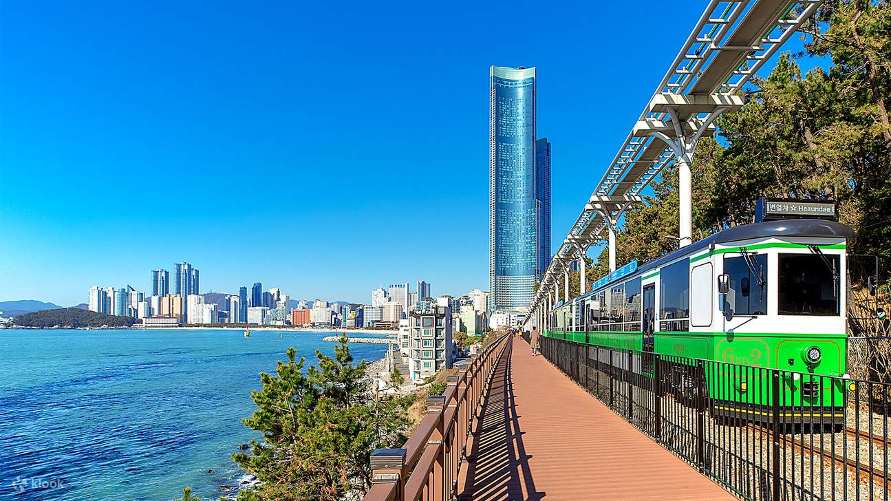 Seven Bridges Tour in Busan - Klook