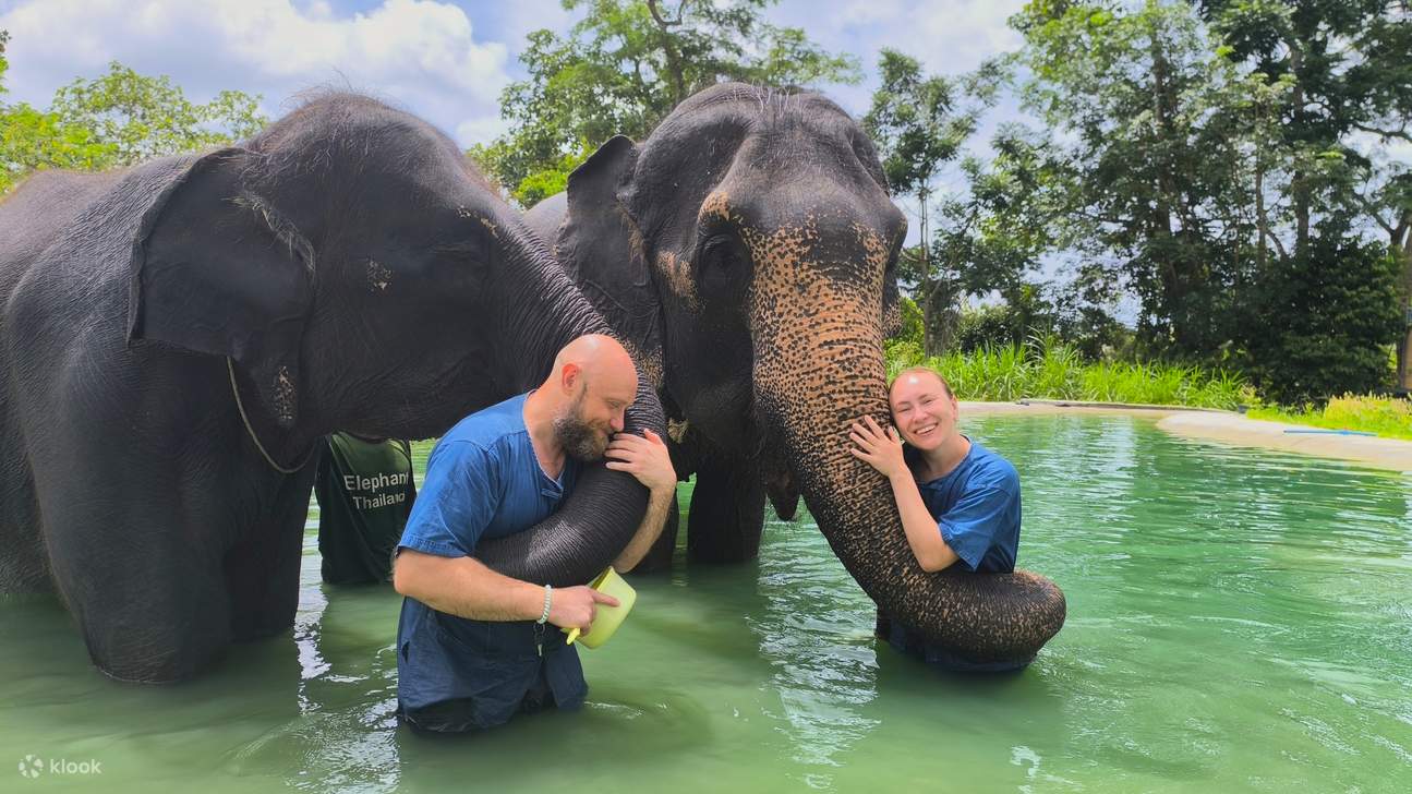 Trunk & Soul Elephant Home Phuket Experience - Klook New Zealand