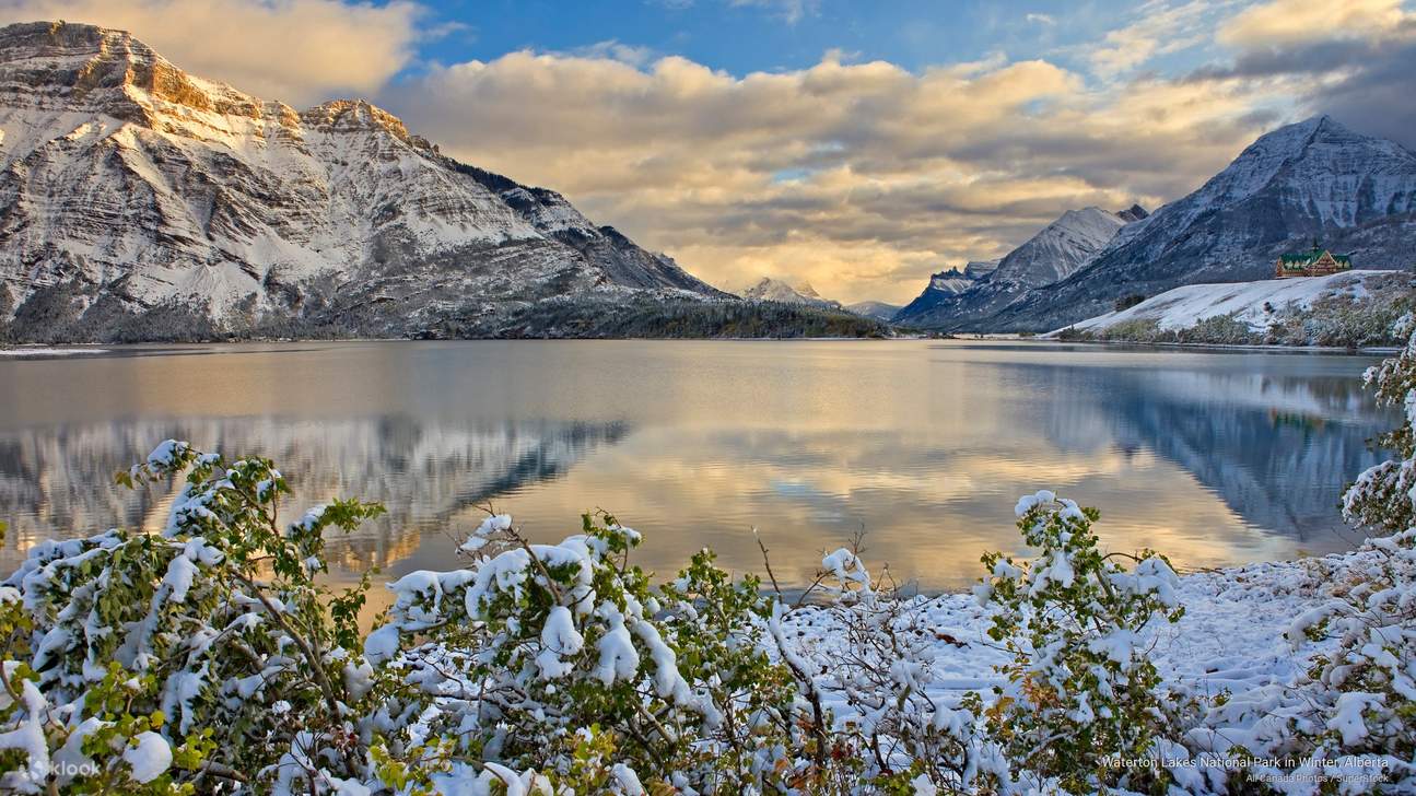 Winter Tour Waterton National Park Adventure from Calgary - Klook