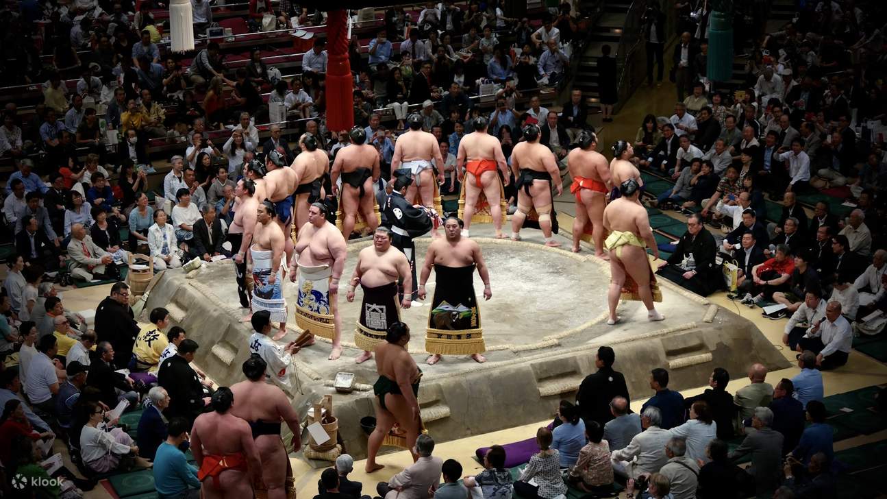 1-Day Grand Sumo Tournament & Sumo Experience Guide Tour in Osaka ...