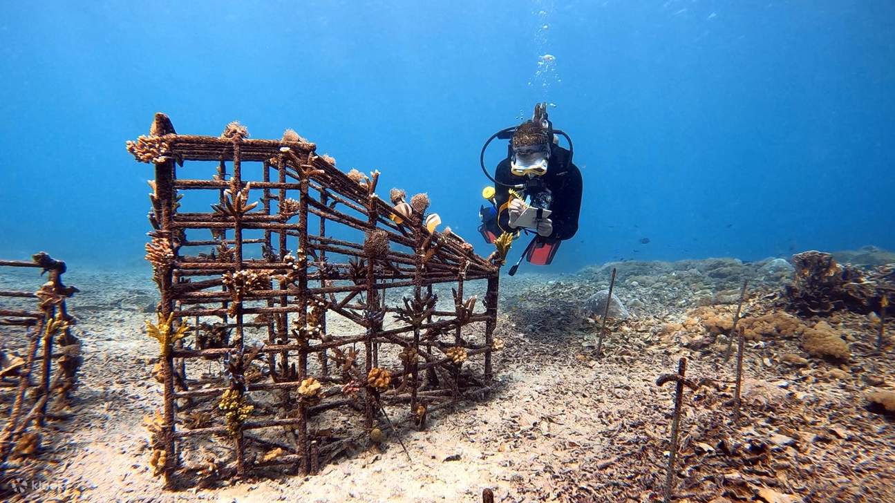 PADI Advanced Open Water Diver in Bali with PADI 5 Star IDC Resort ...