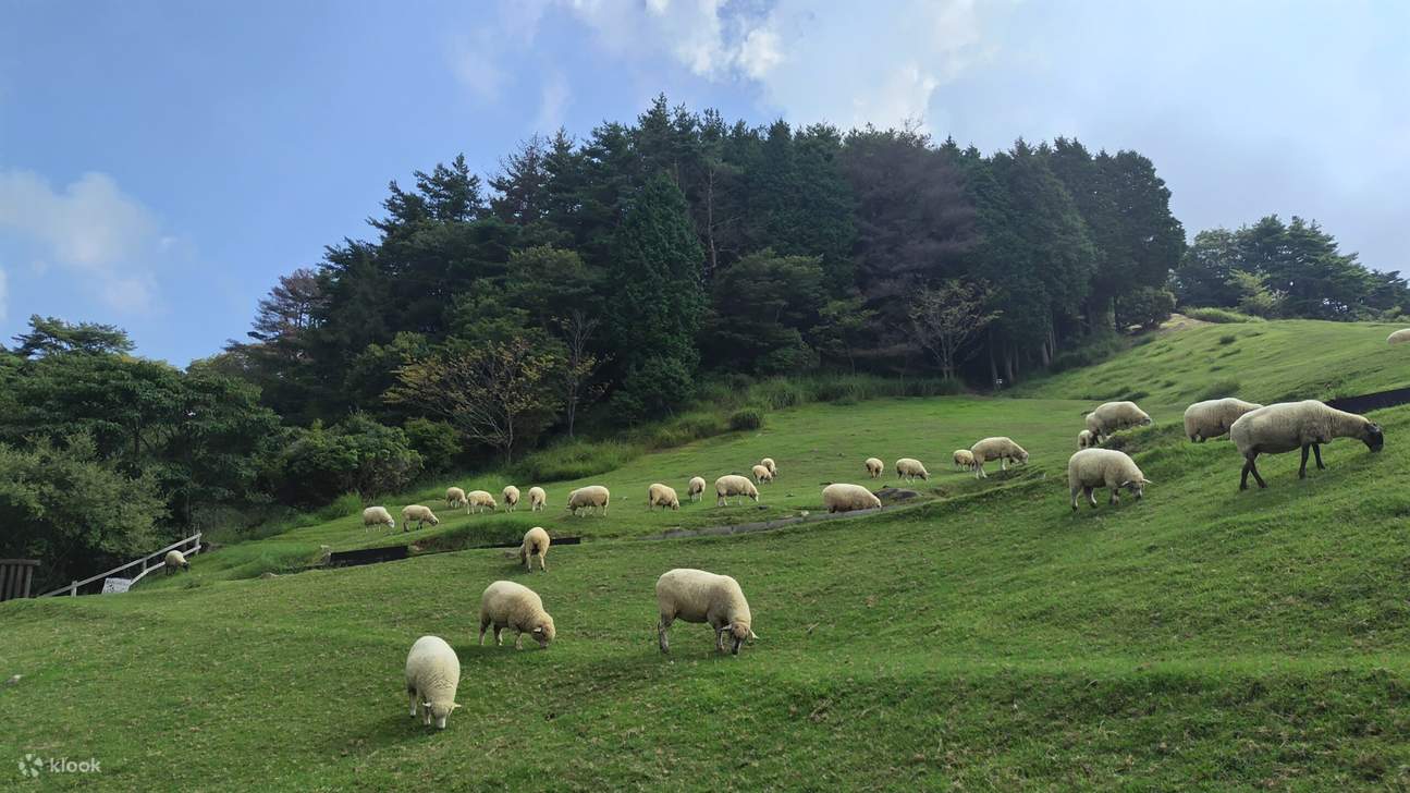 Kobe Lazy Day Trip | Sanda OUTLET Shopping + Arima Onsen Hot Spring ...