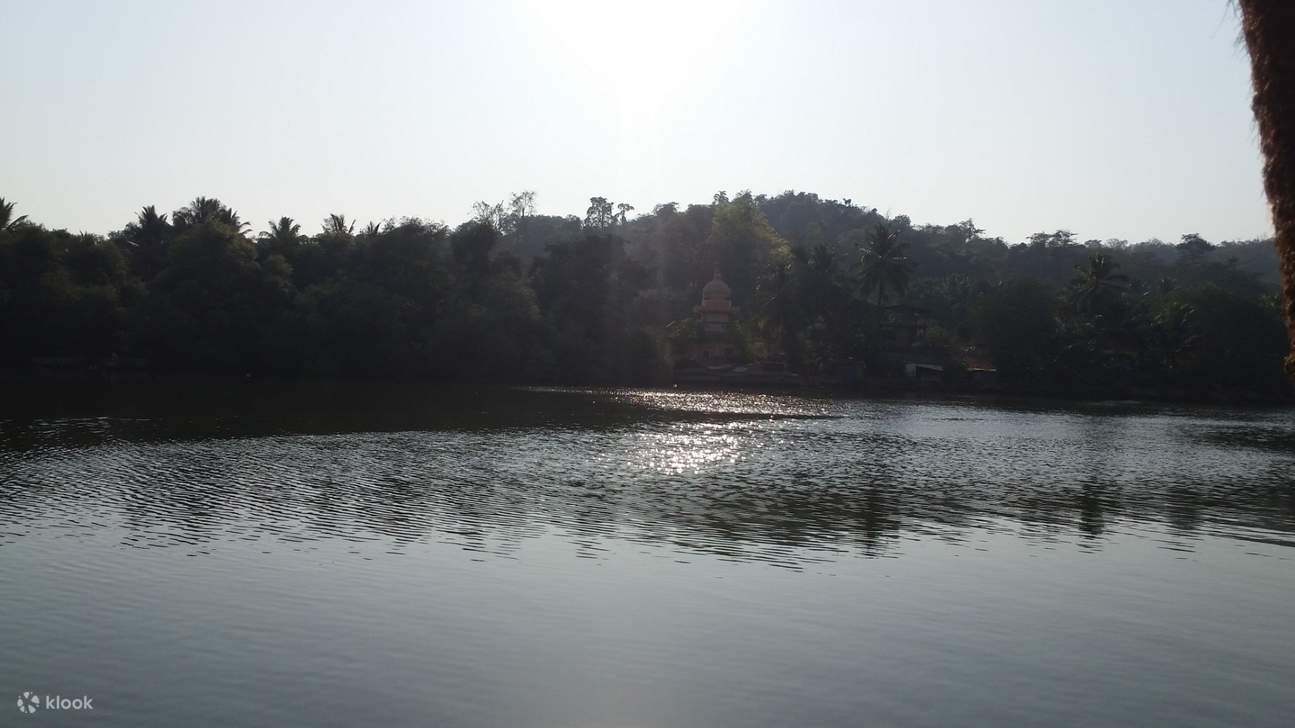 Mandovi River Cruise Experience in Goa - Klook Россия