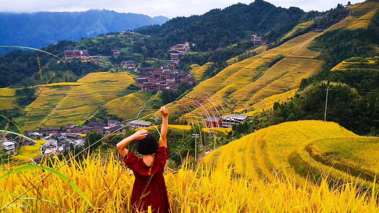 Guilin Longji Ping'an Terraces 1-Day Private Tour - Klook United States