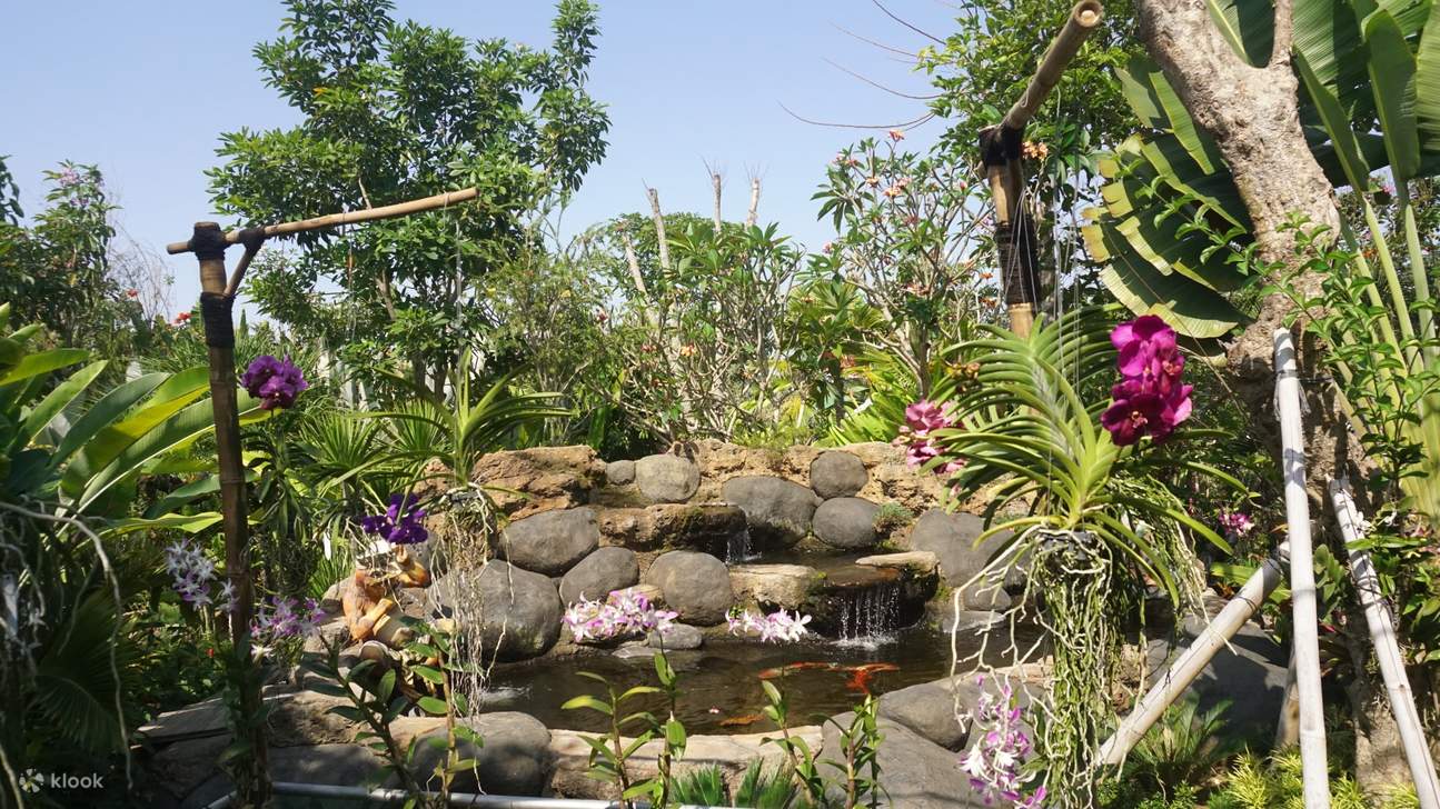 Kemenuh Orchid Garden and Dragonfly and Bonsai Park Tickets in Bali - Klook