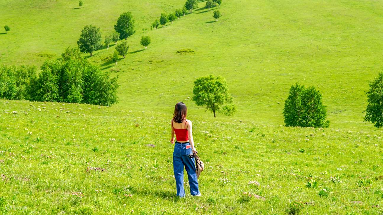 [Meet Ulanbutong Winter·Ice and Snow Carnival 5 Days] Beijing+Saihanba ...